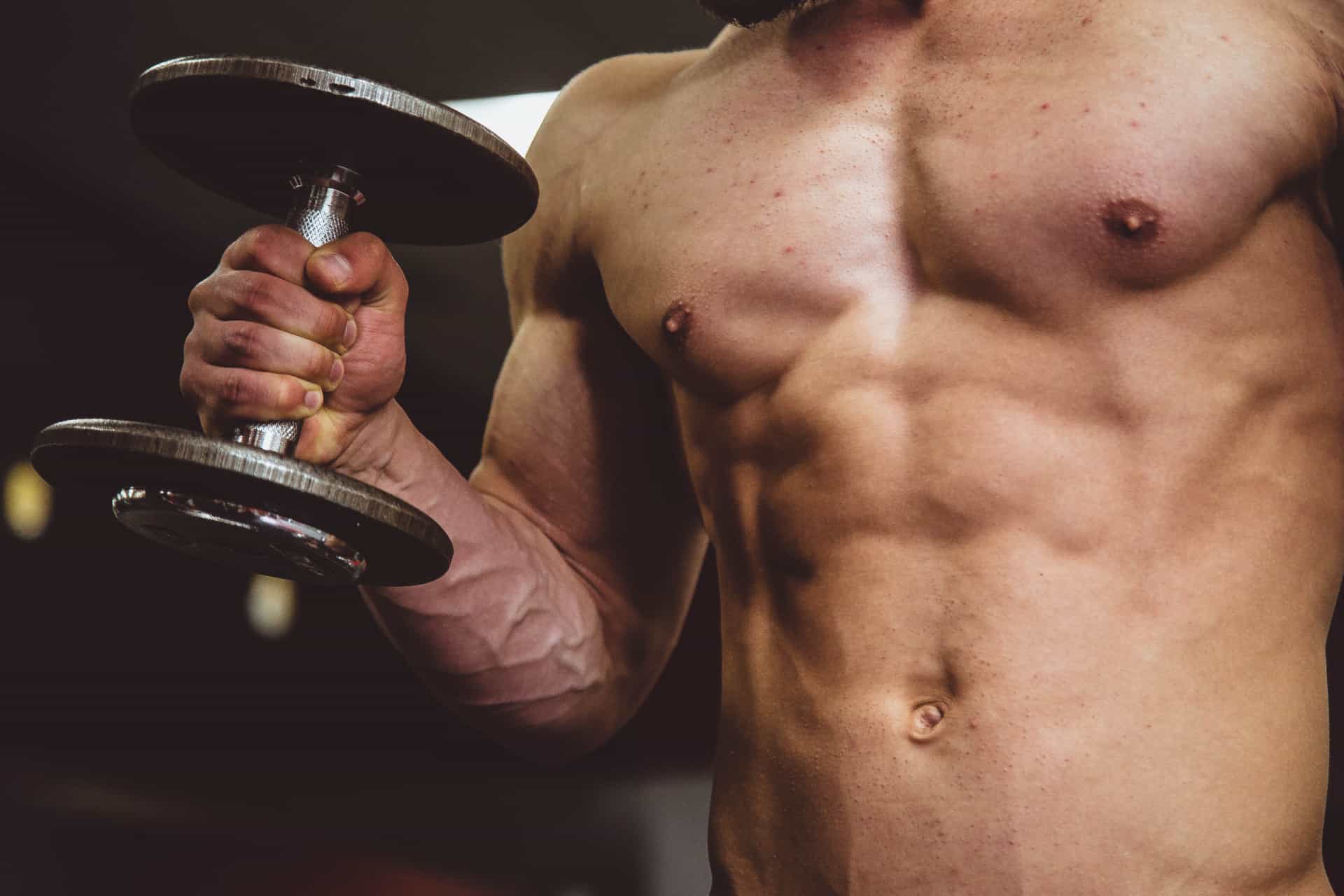Muscle Size And Distinction: Super Simple Ways To Get The Ideal ...